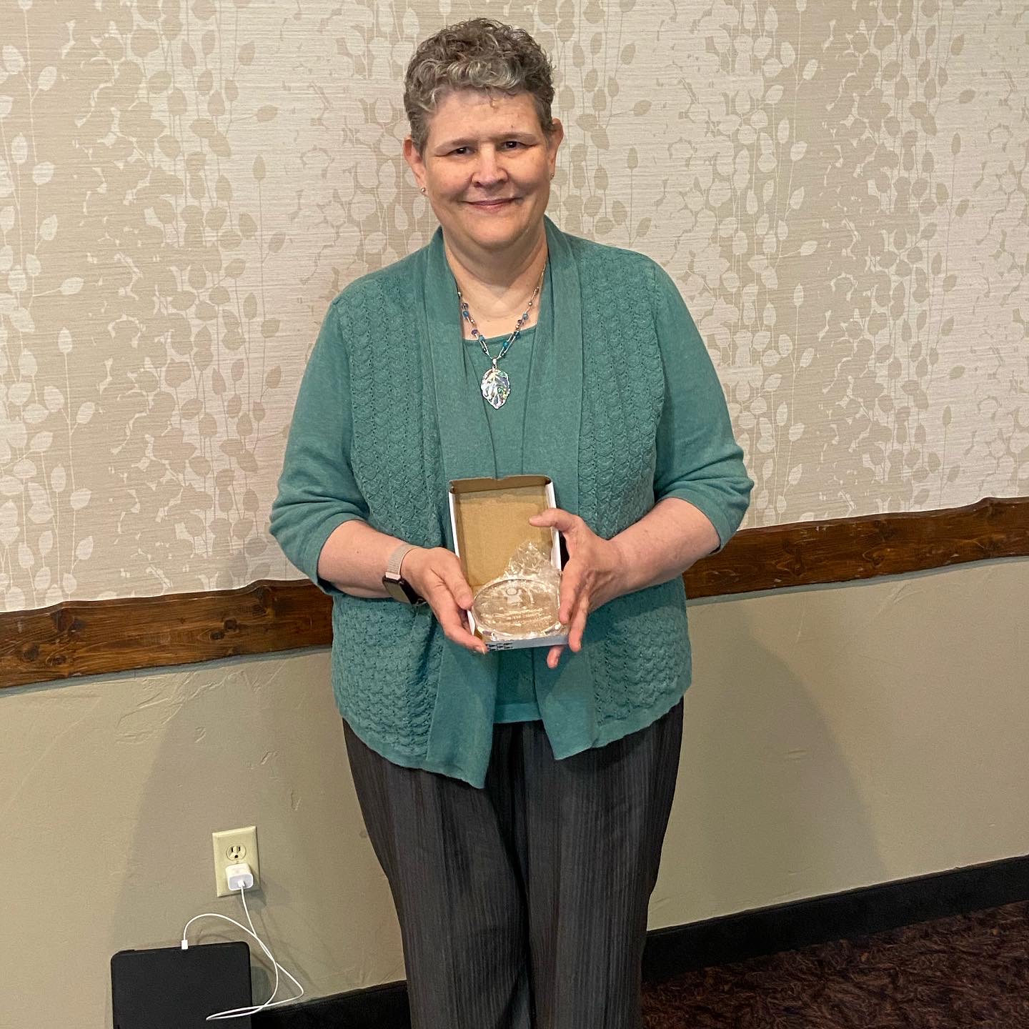 Past Award Winners – Iowa Association for Play Therapy